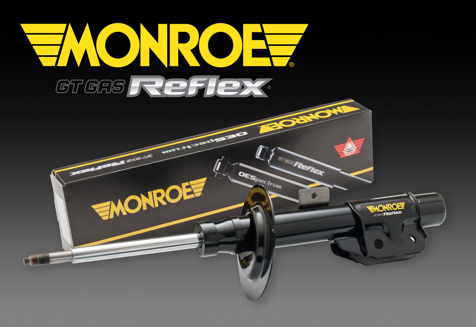 Products – Monroe Shock Absorbers Indonesia